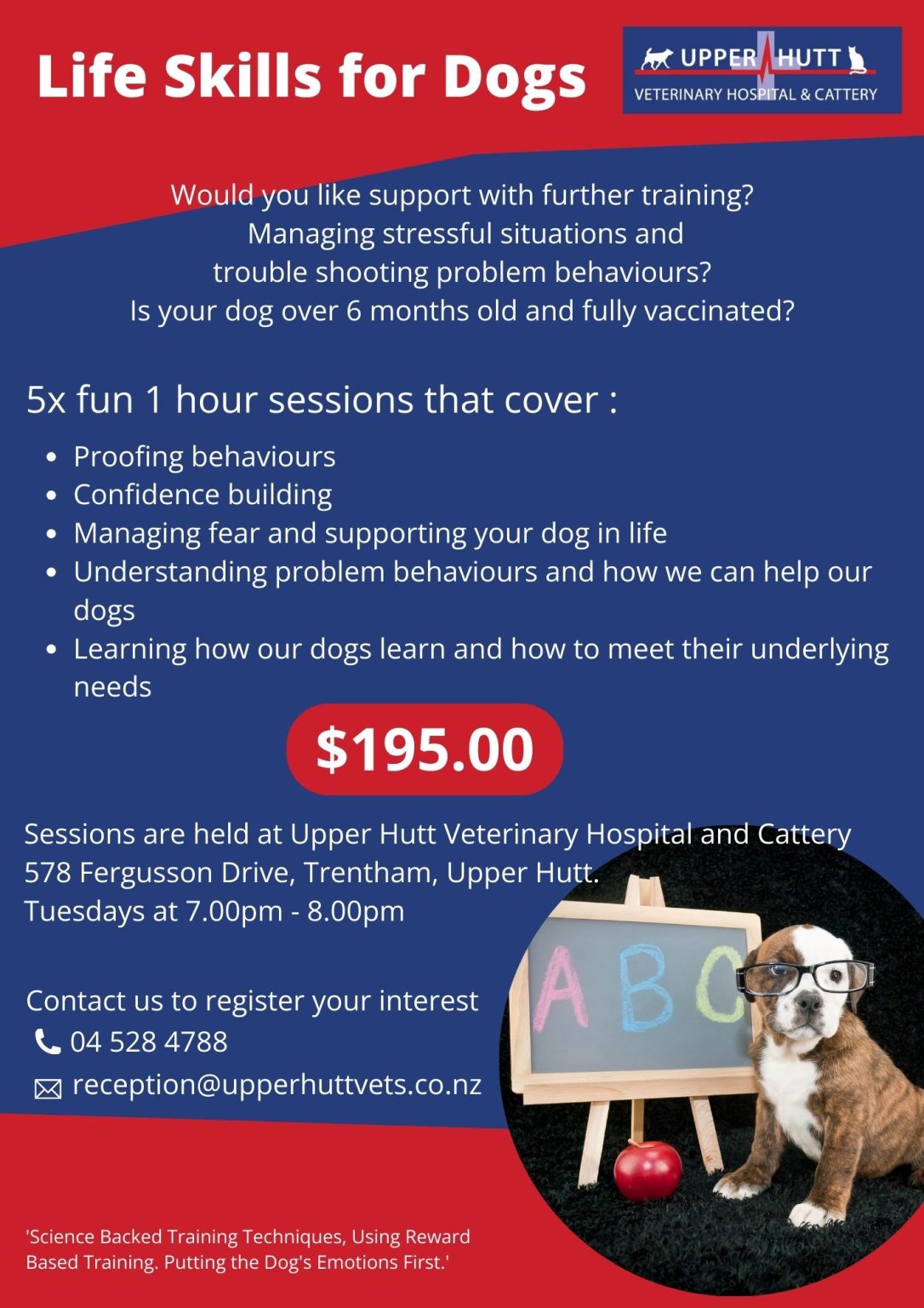 Upper Hutt Vet Hospital -578 Fergusson Drive Upper Hutt